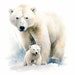 Polar Bear and Cub Clipart, 12 High Quality Jpgs, Watercolor Clipart ...