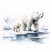 Polar Bear and Cub Clipart, 12 High Quality Jpgs, Watercolor Clipart ...