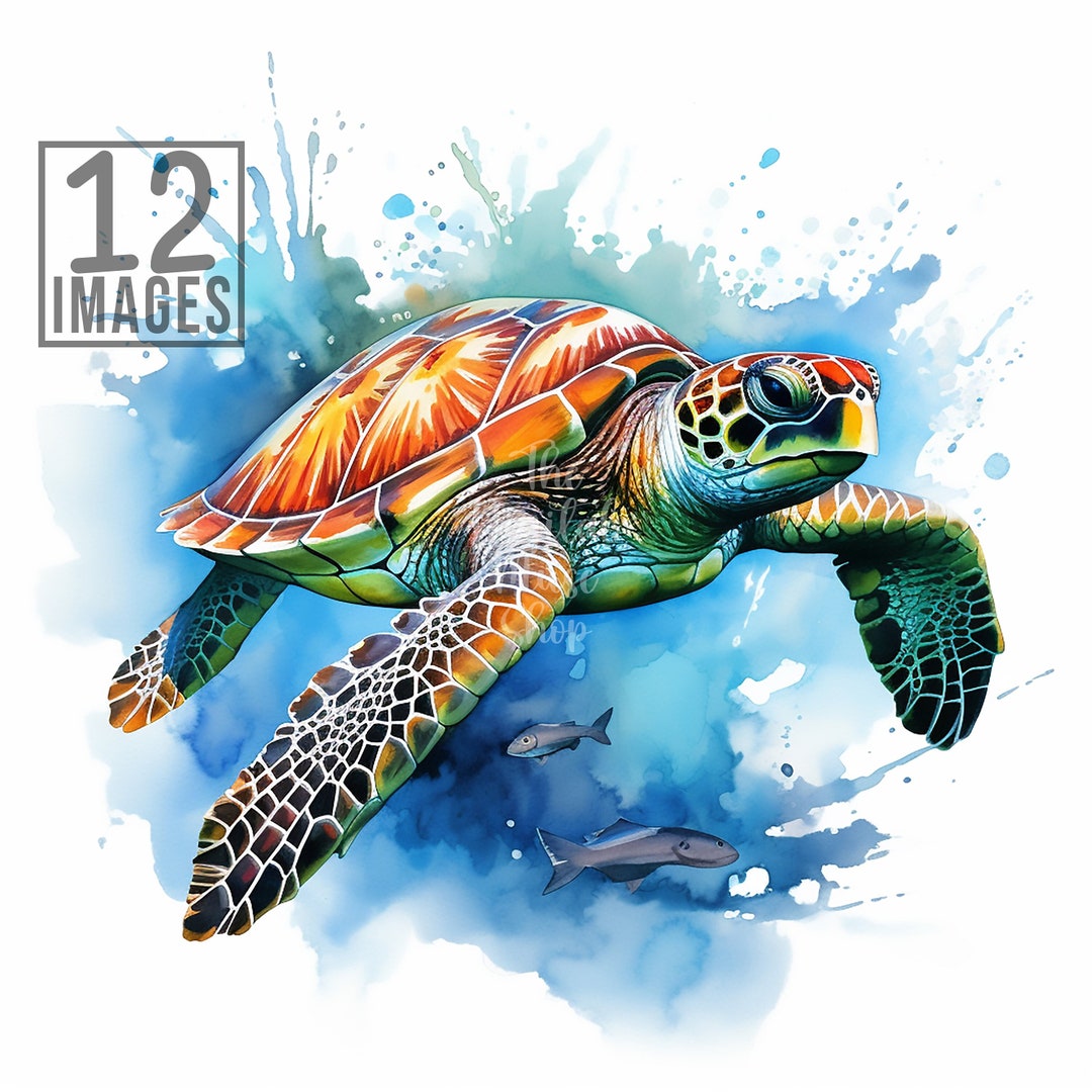 Watercolor Sea Turtle Clipart, 12 High Quality JPG, Commercial Use ...