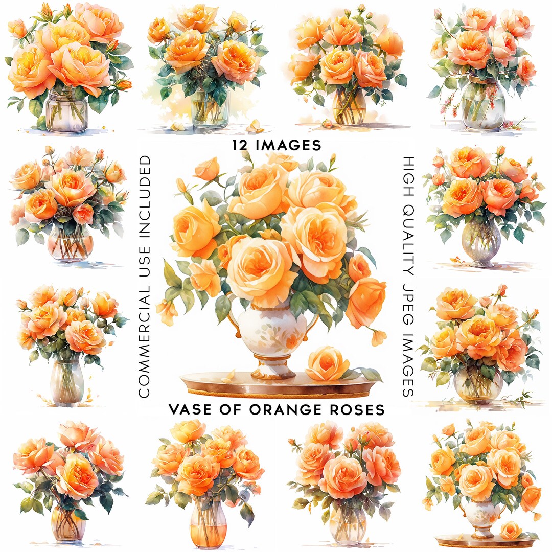 Vase of Orange Roses Clipart Watercolor Flowers Clipart Commercial Use ...