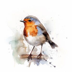 Robin Clipart, 12 High Quality Jpgs, Watercolor Clipart, Digital ...