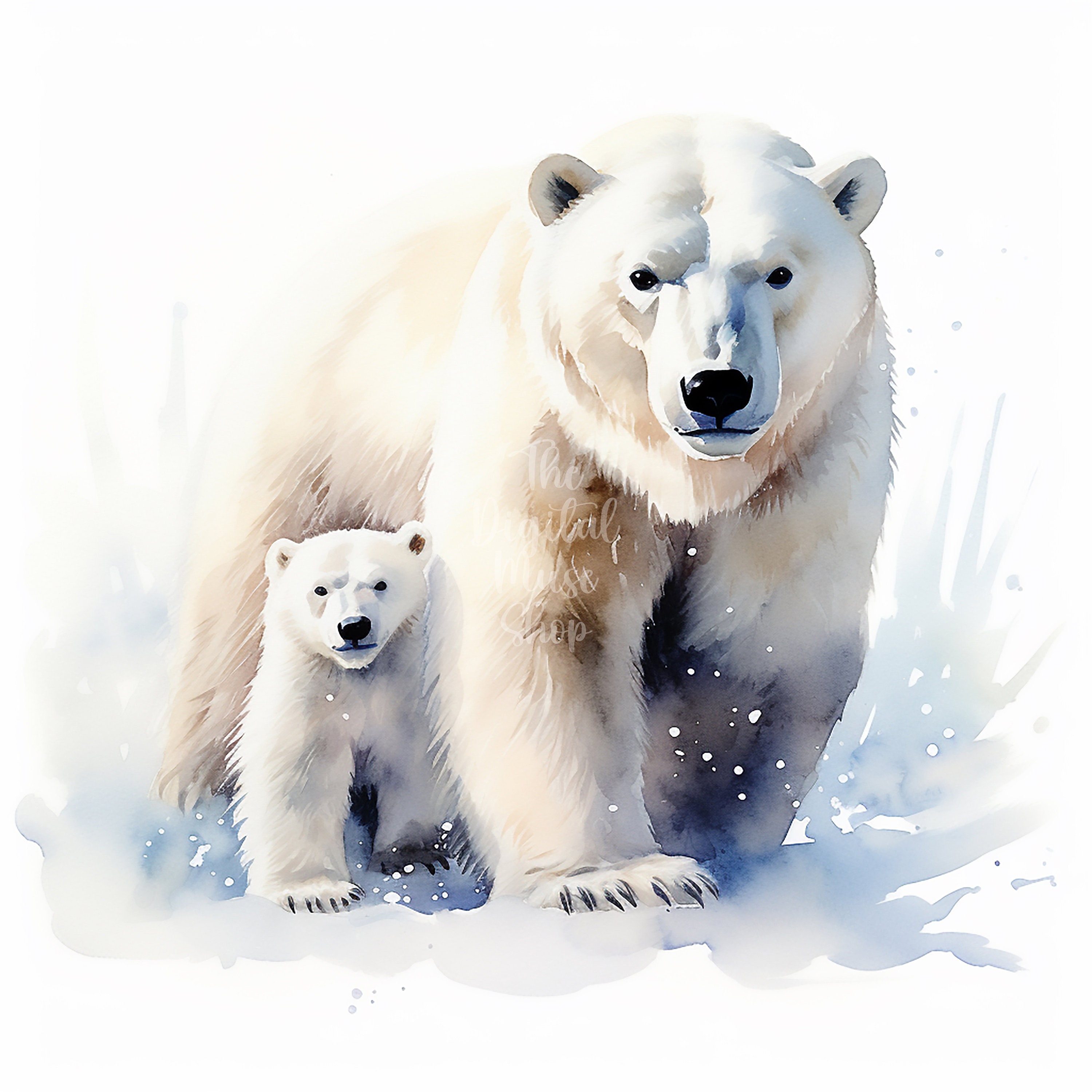 Polar Bear and Cub Clipart, 12 High Quality Jpgs, Watercolor Clipart ...