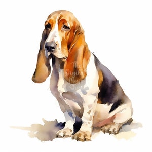 Basset Hound Clipart, 12 High Quality Jpgs, Watercolor Clipart, Clip ...