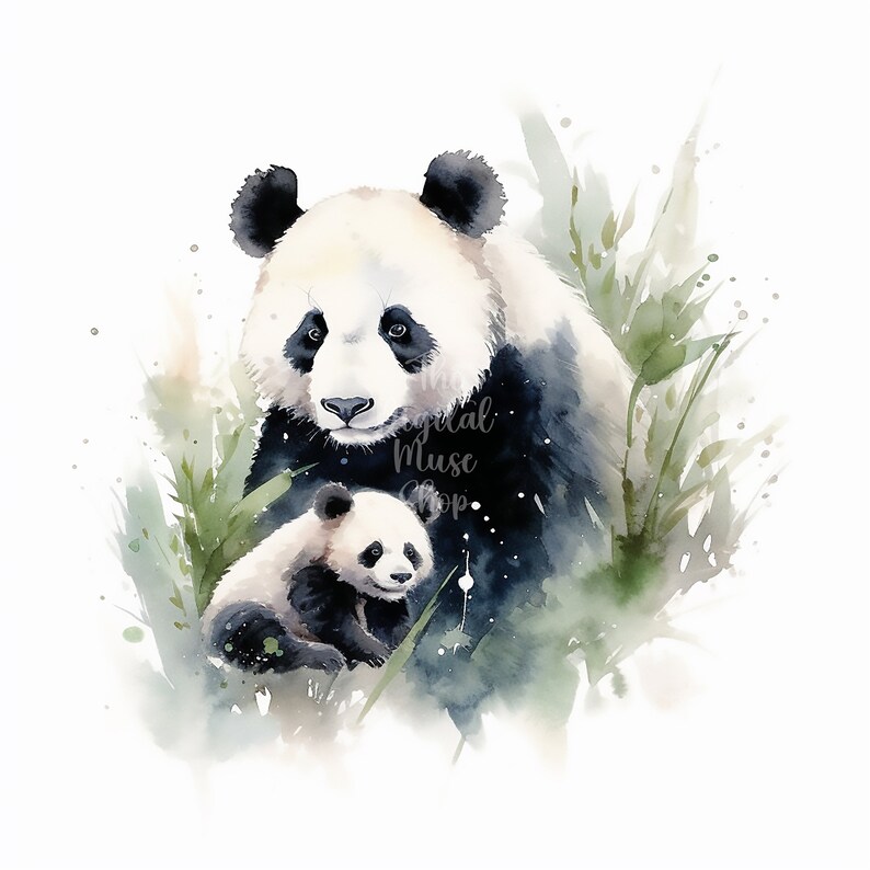 Mom and Baby Panda Clipart, 12 High Quality Jpgs , Watercolor Clipart ...