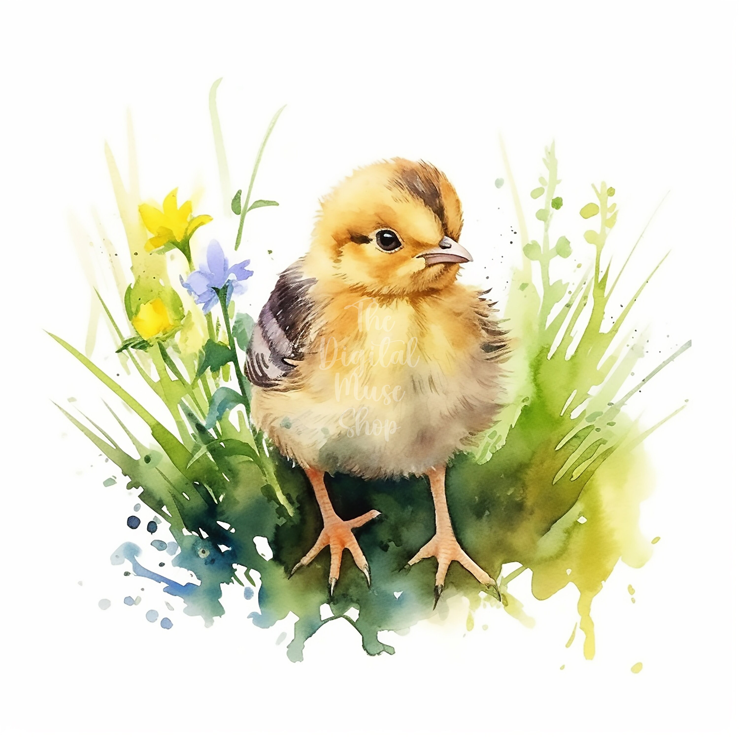 Chicks Clipart, 12 High Quality Jpgs, Watercolor Clipart, Digital ...