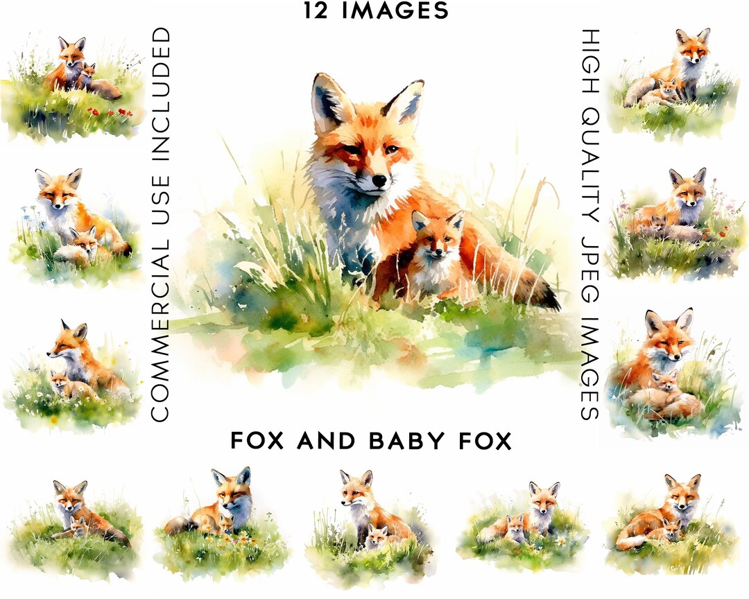 Mom and Baby Fox Clipart, 12 High Quality Jpgs, Watercolor Clipart ...