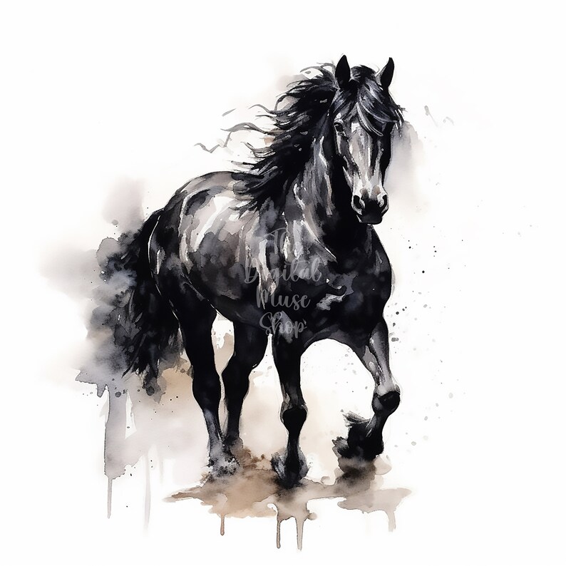 Black Horses Clipart, 12 High Quality Jpgs , Watercolor Clipart ...