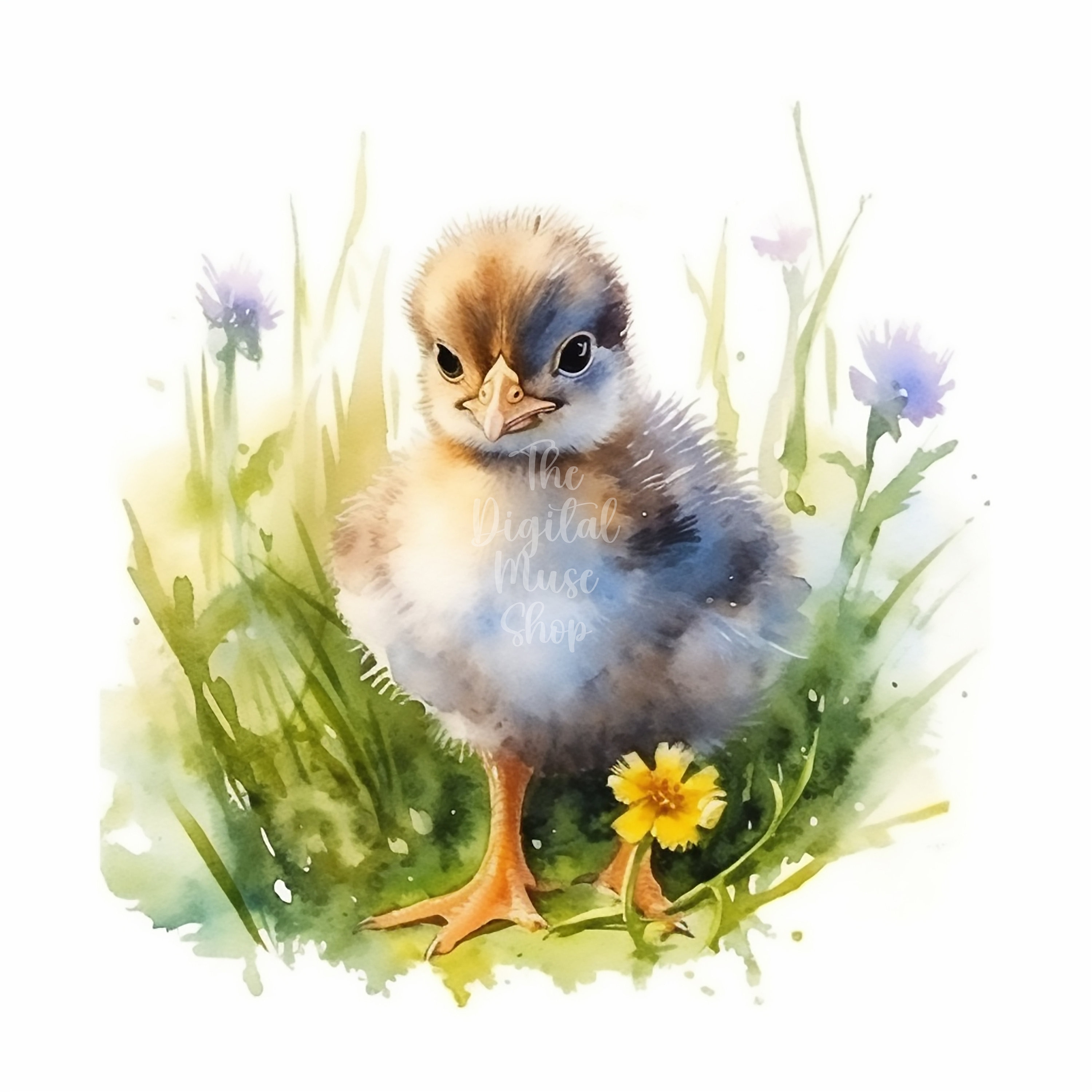Chicks Clipart, 12 High Quality Jpgs, Watercolor Clipart, Digital ...