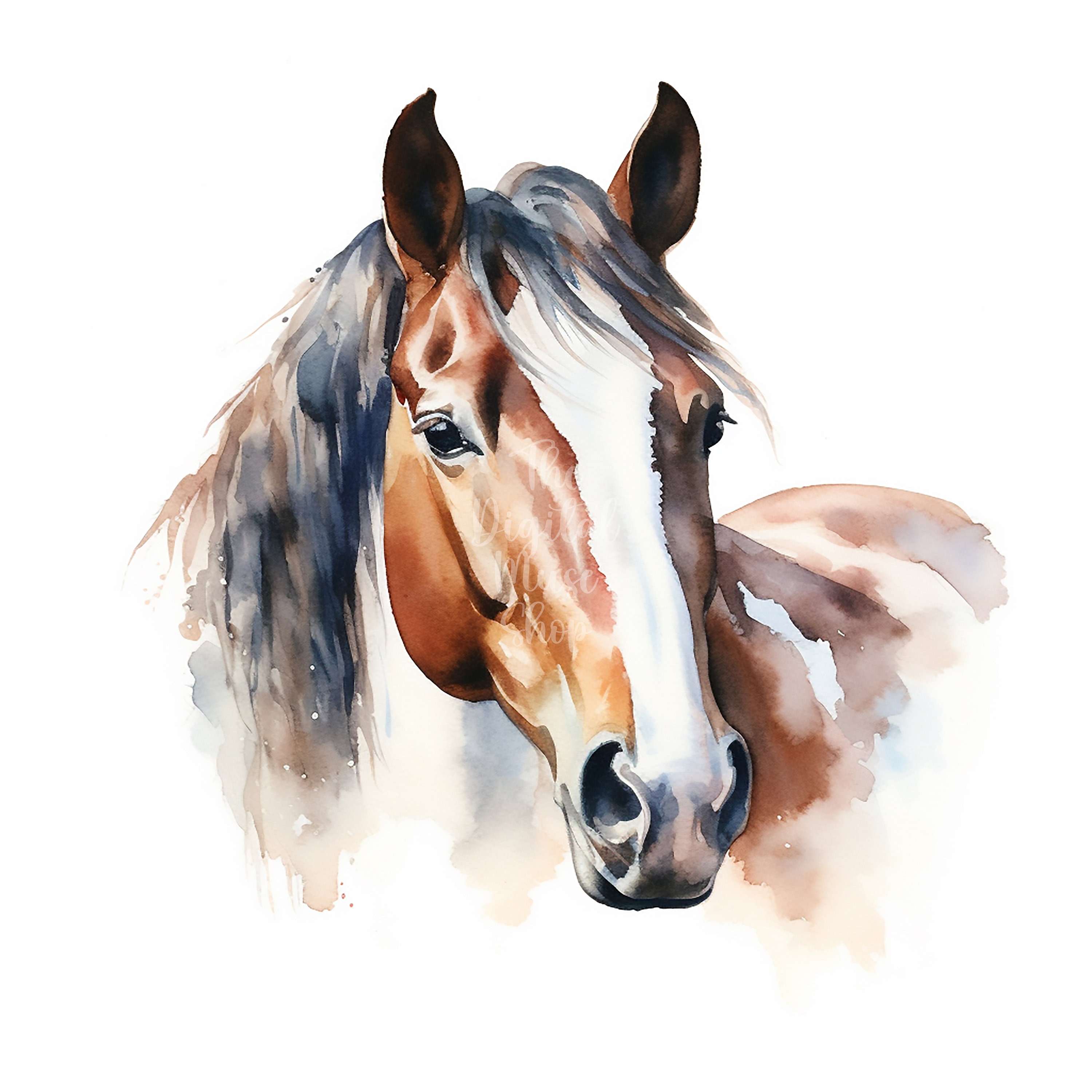 American Paint Horses Clipart, 12 High Quality Jpgs , Watercolor ...