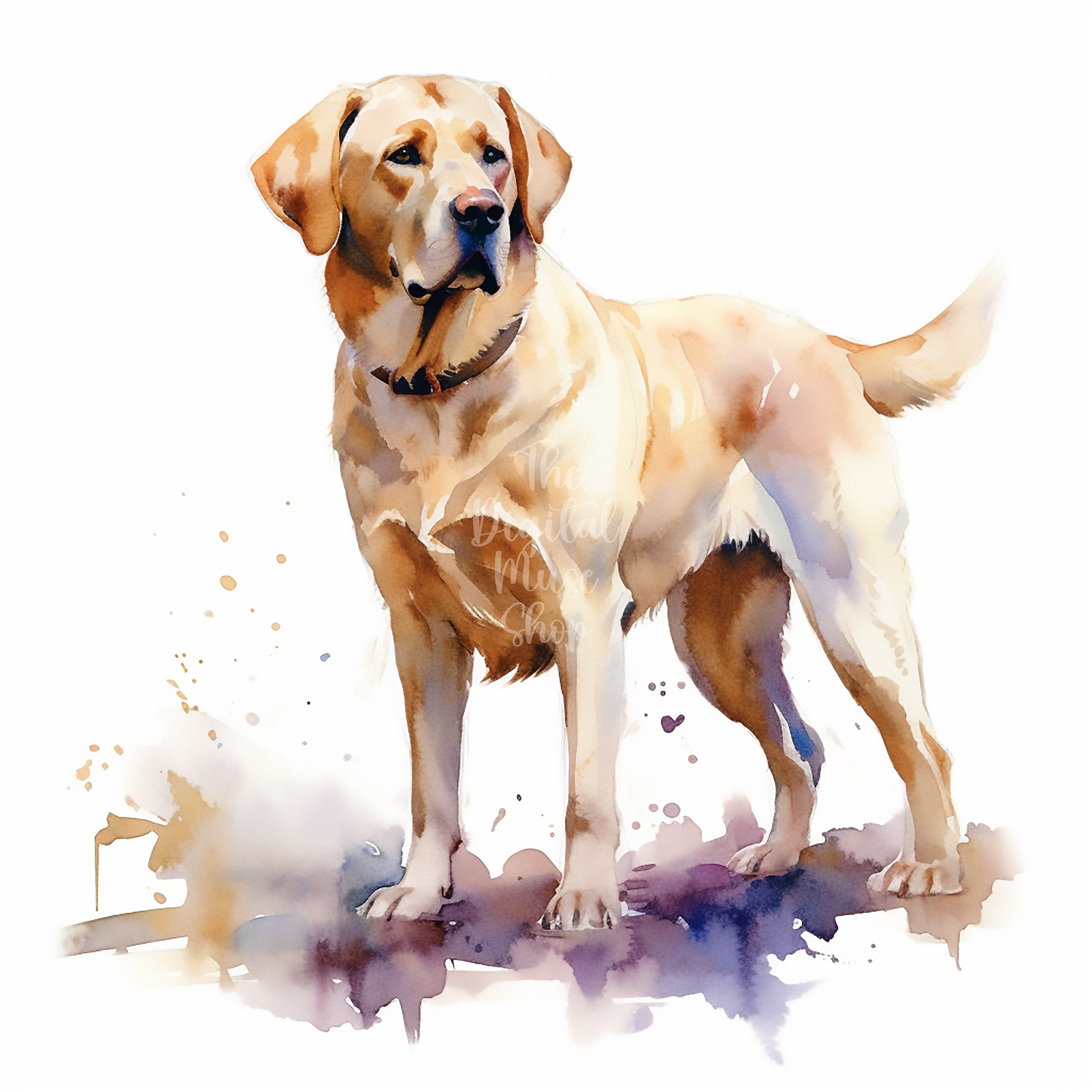 Labrador Retriever Clipart, 10 High Quality Jpgs, Watercolor Clipart ...