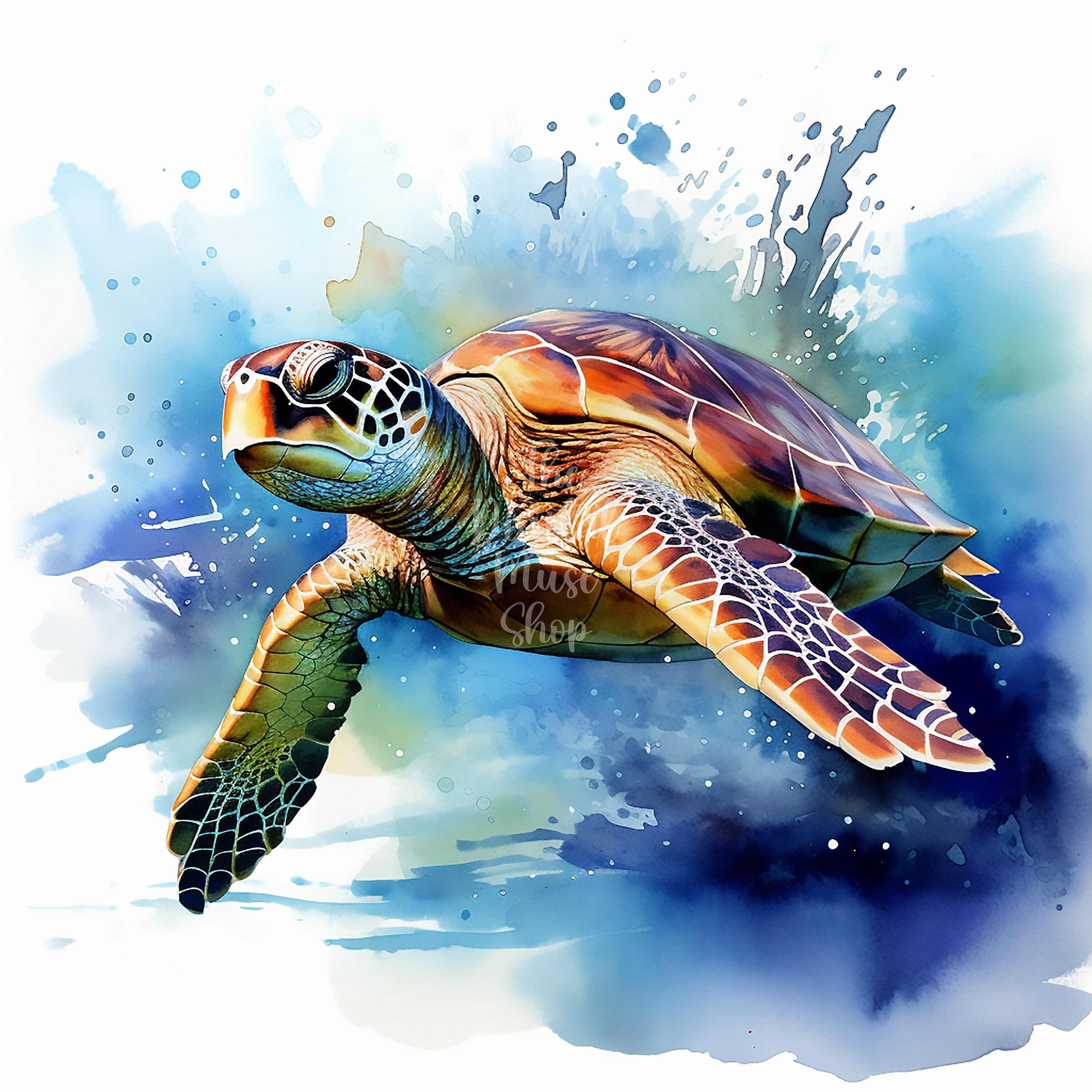 Watercolor Sea Turtle Clipart, 12 High Quality JPG, Commercial Use ...
