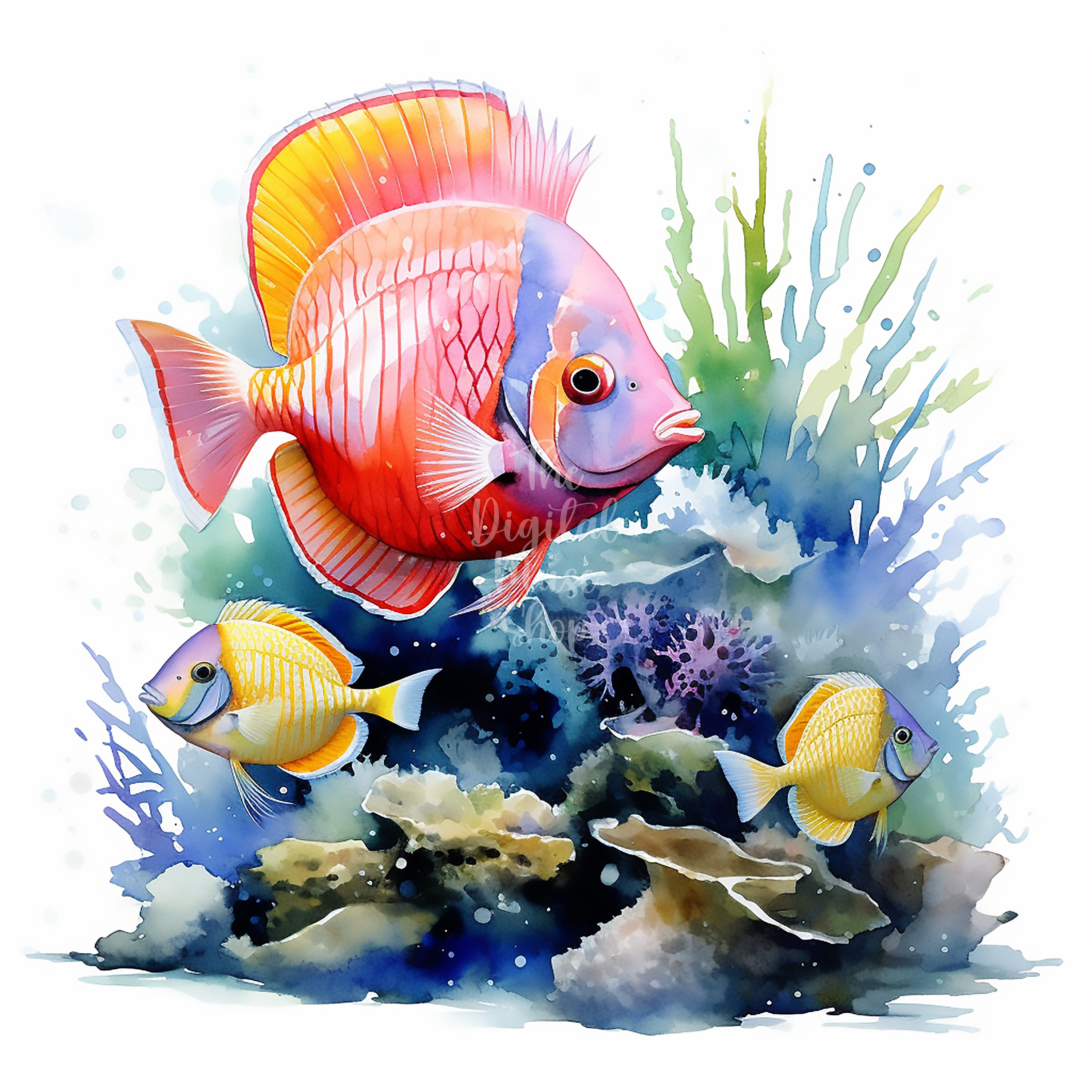 Colorful Exotic Fishes Clipart, 12 High Quality JPG, Commercial Use ...