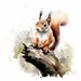 Squirrel Clipart Forest Clipart Card Making Mixed Media Digital Planner ...