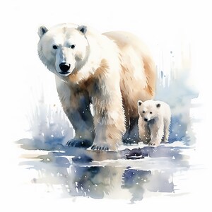 Polar Bear and Cub Clipart, 12 High Quality Jpgs, Watercolor Clipart ...