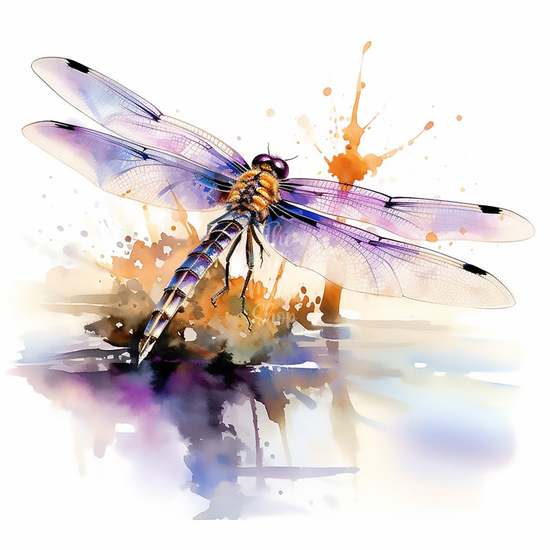 Dragonflies Clipart 13 High Quality Jpgs Watercolor Clipart Dragonfly Clipart Insect Clipart ...