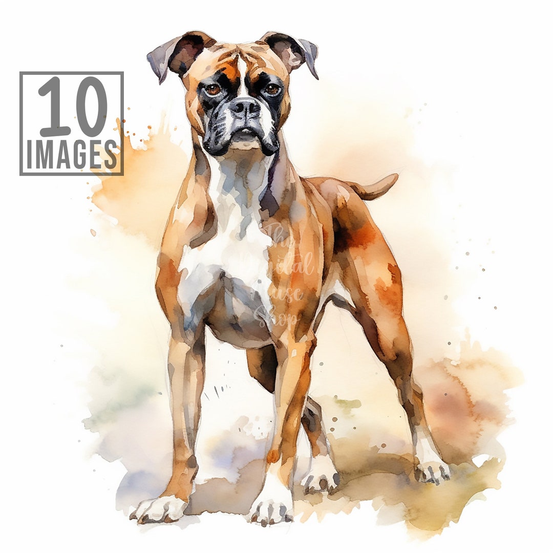 Boxer Clipart, 10 High Quality Jpgs, Watercolor Clipart, Clip Art ...