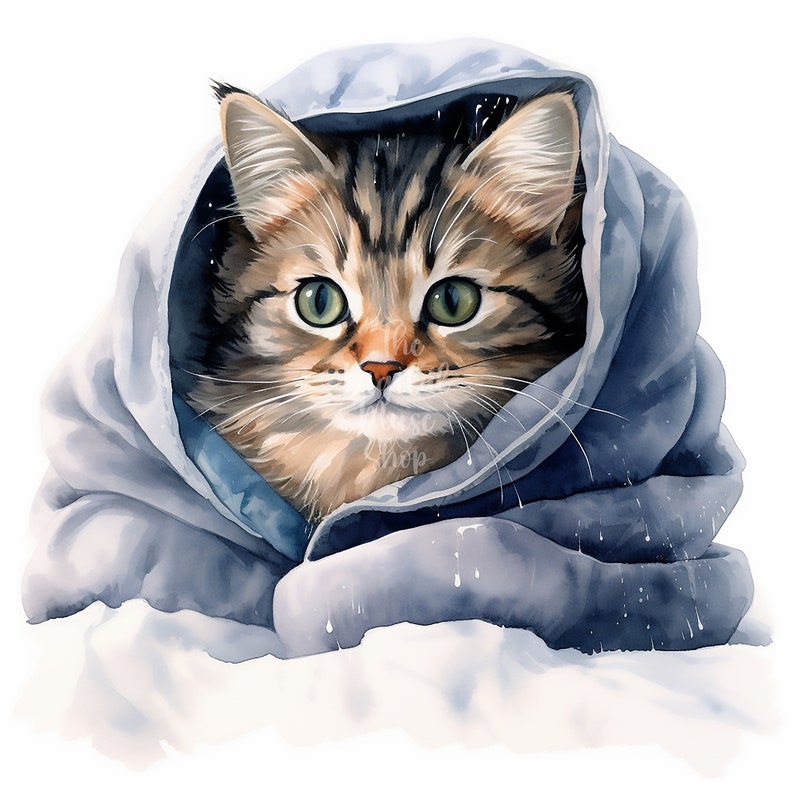 Winter Kitten Clipart 12 High Quality Jpgs Snow Clipart Winter Clipart ...