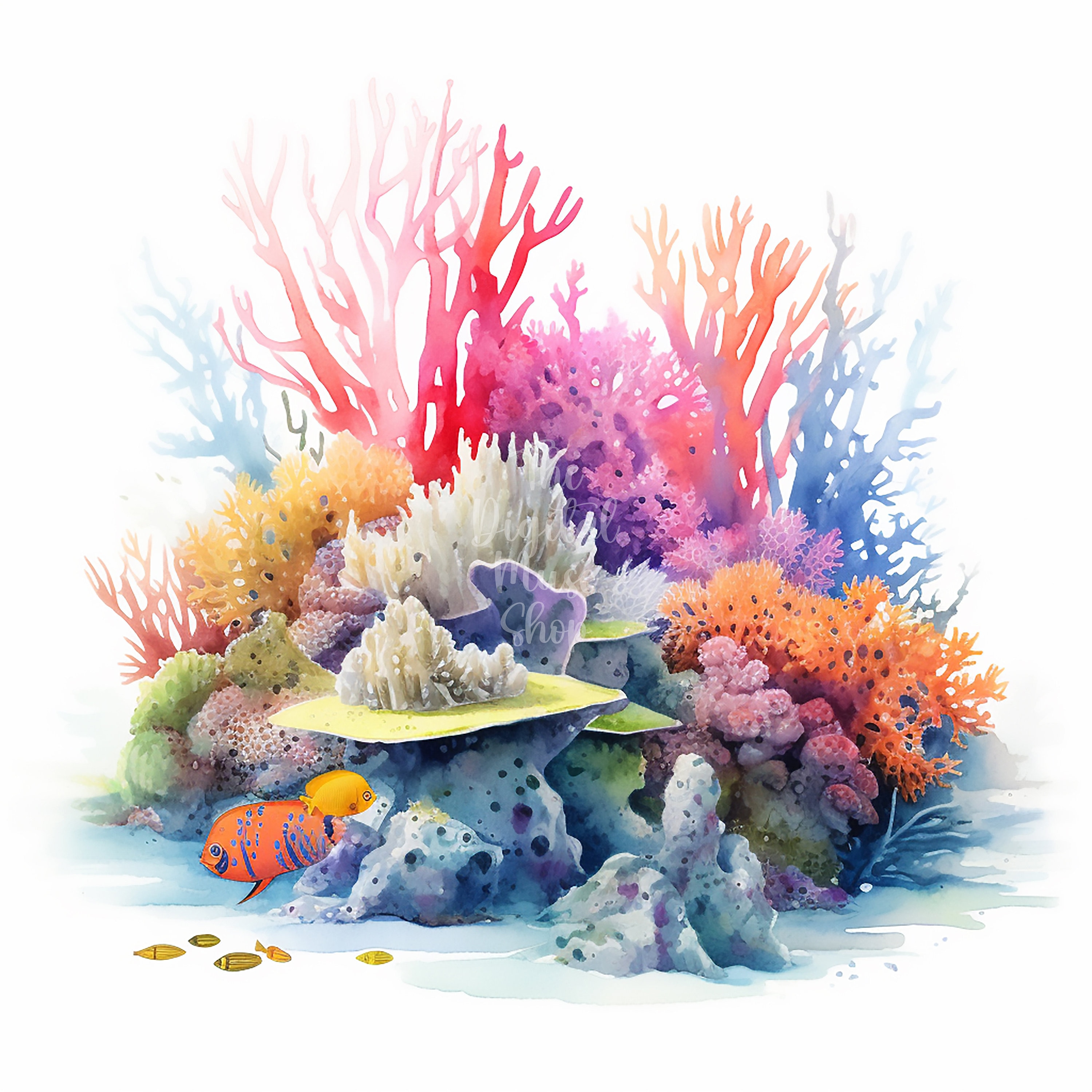 Watercolor Coral Reef Clipart, 12 High Quality Jpgs, Clip Art ...