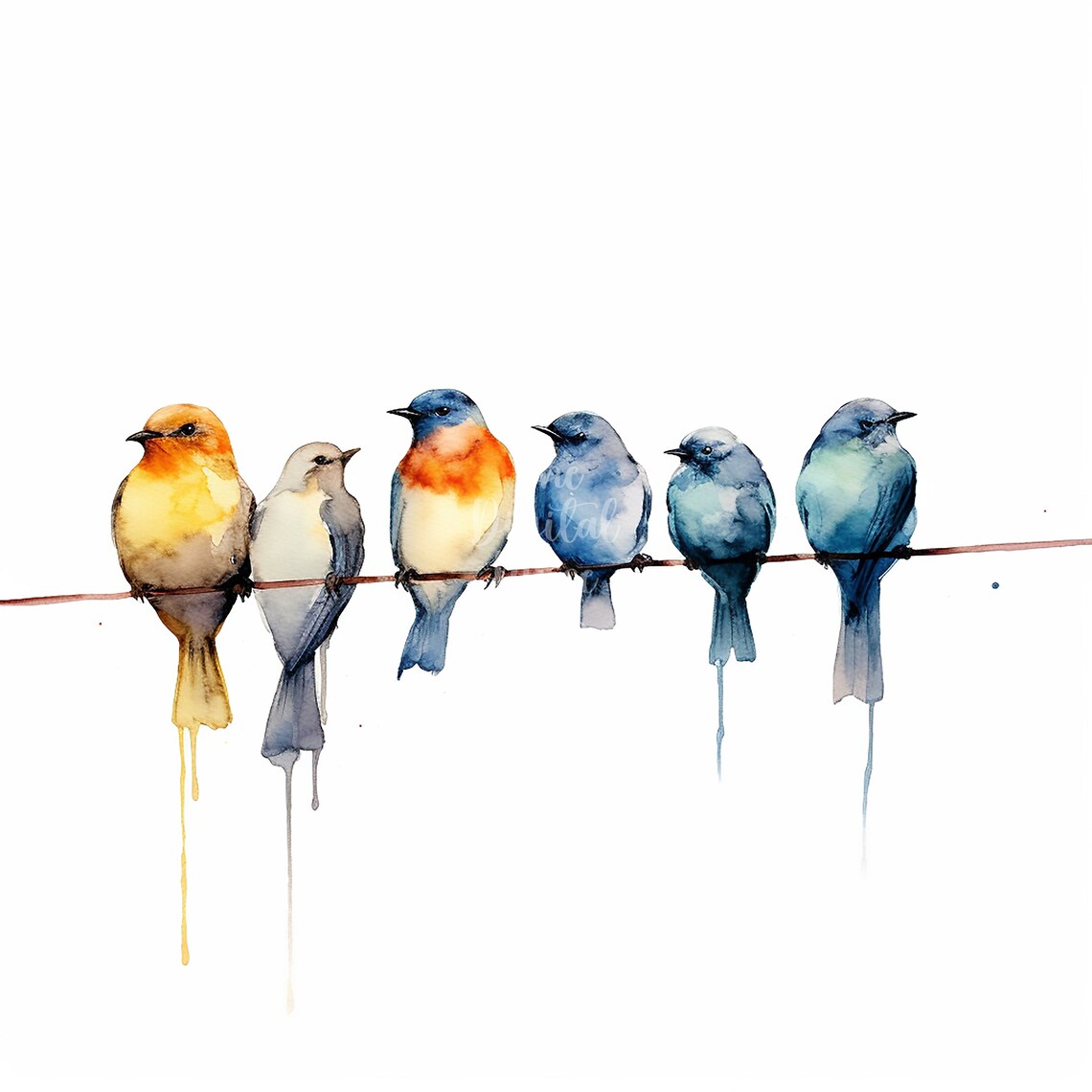 Birds on A Wire Clipart, 12 High Quality Jpgs, Watercolor Clipart, Clip ...