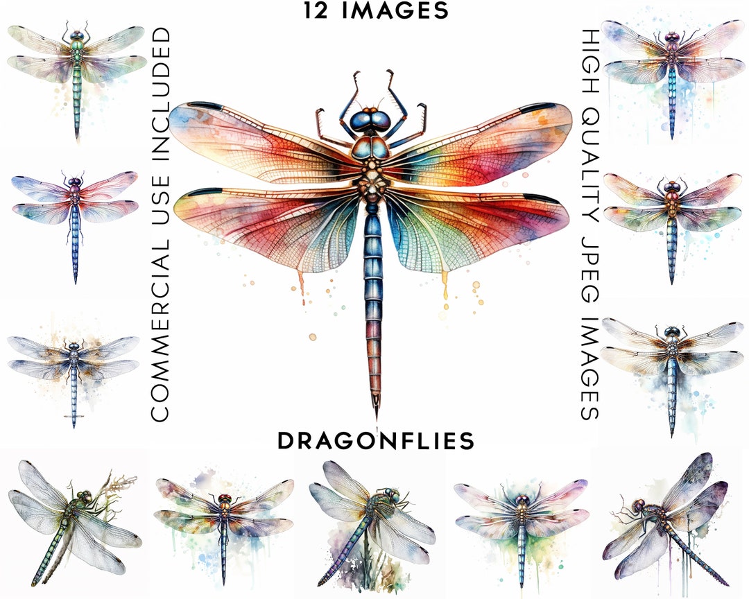Dragonflies Clipart, 12 High Quality Jpgs, Watercolor Clipart ...