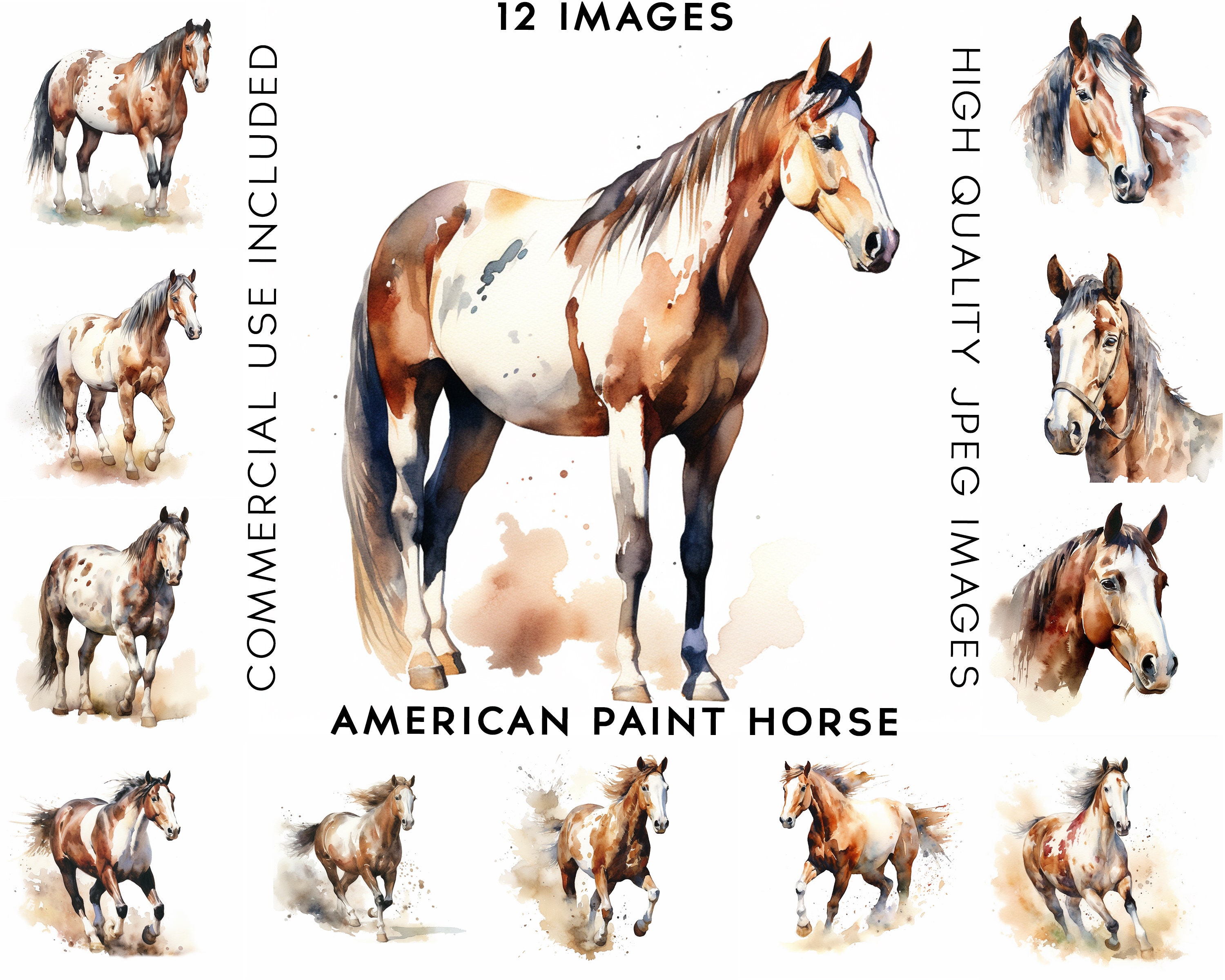 American Paint Horses Clipart, 12 High Quality Jpgs , Watercolor ...