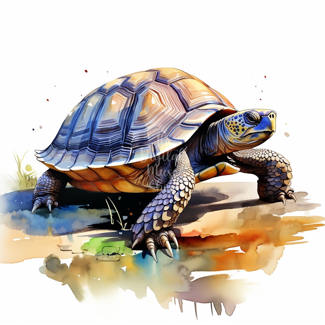 Watercolor Tortoise Clipart Digital Download Card Making Clip Art ...