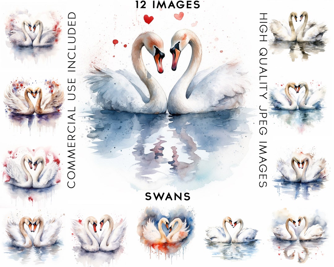 Swans Clipart, 12 High Quality JPGs, Watercolor Clipart, Digital Art ...