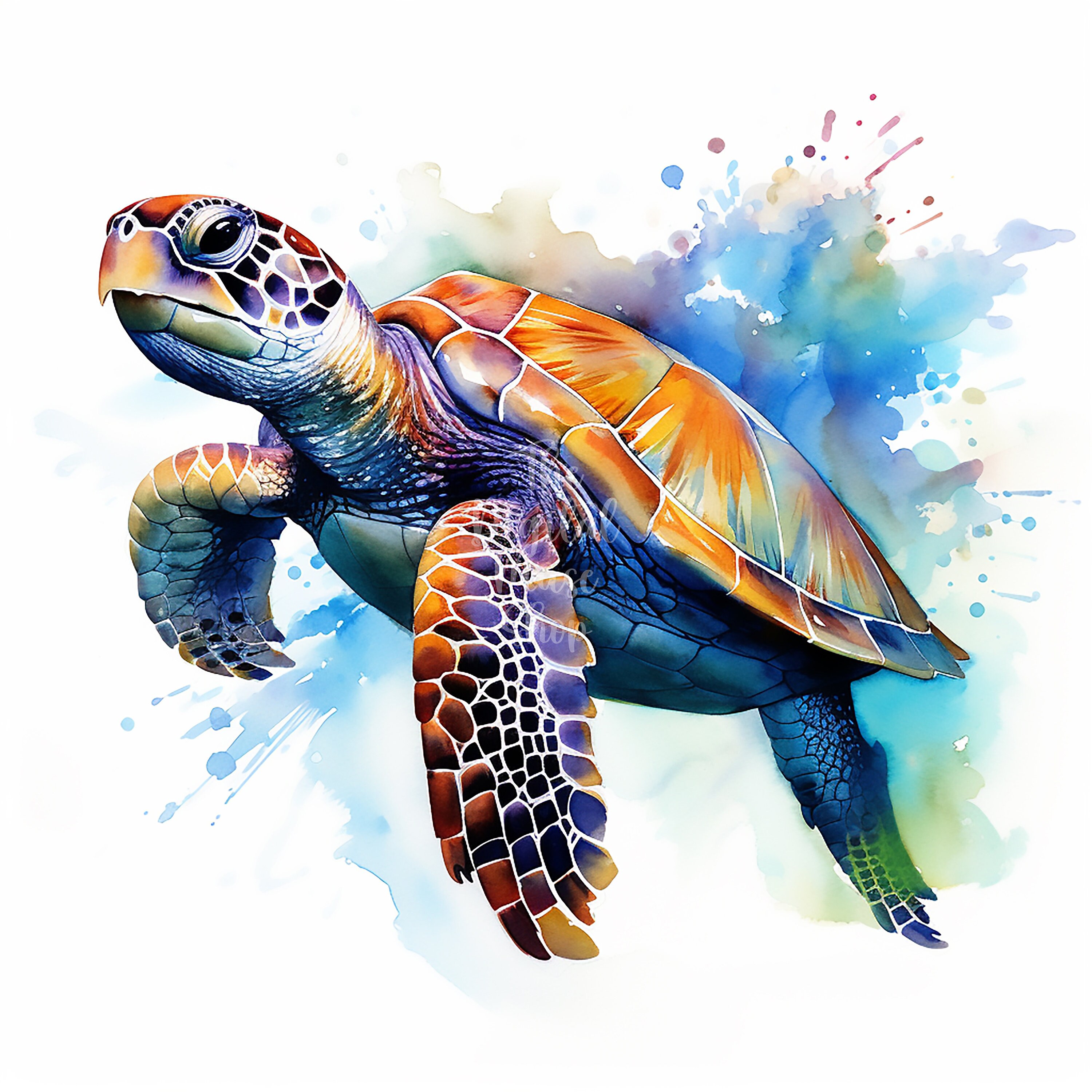 Watercolor Sea Turtle Clipart, 12 High Quality JPG, Commercial Use ...