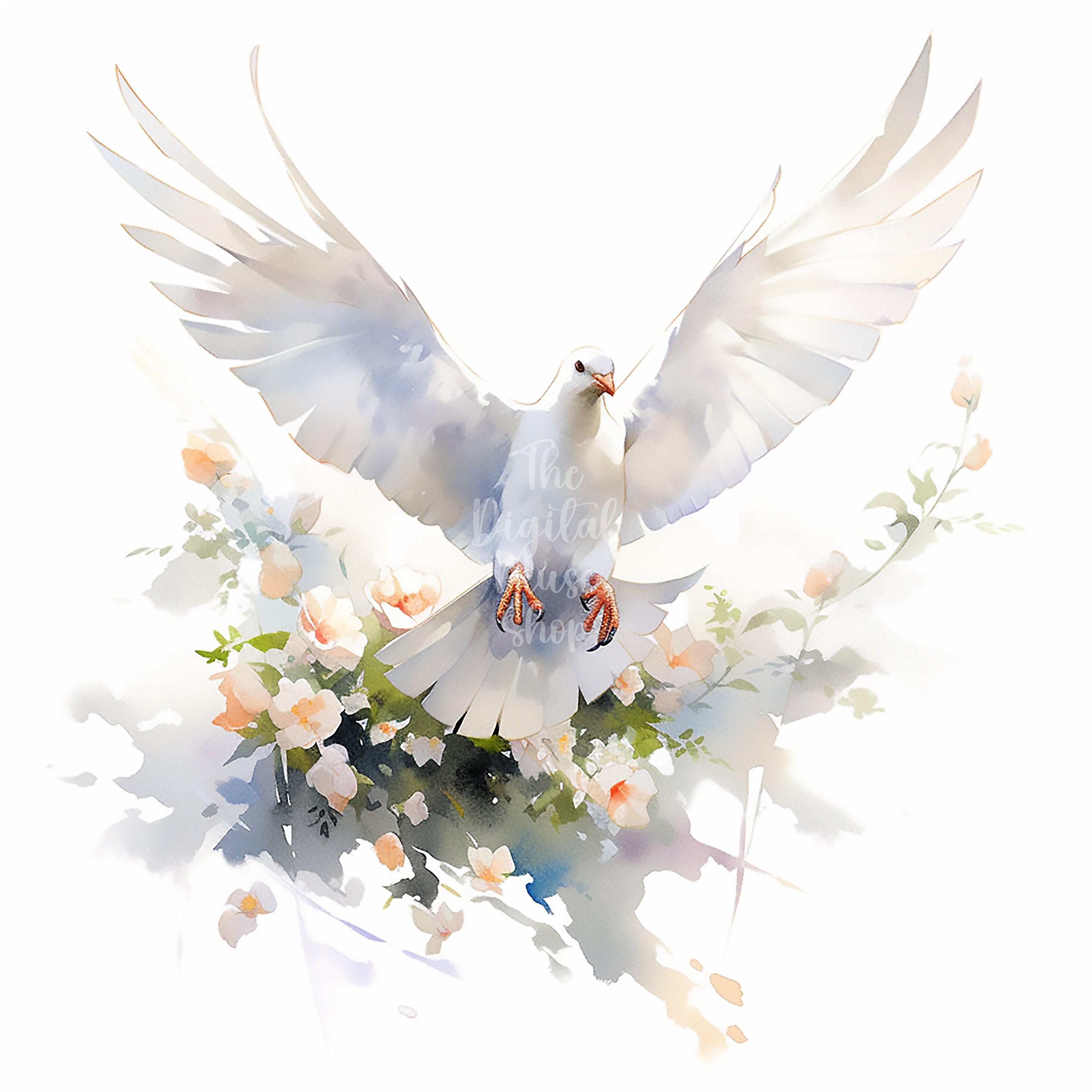 White Dove and Flowers , 12 High Quality Jpgs, Watercolor Clipart ...
