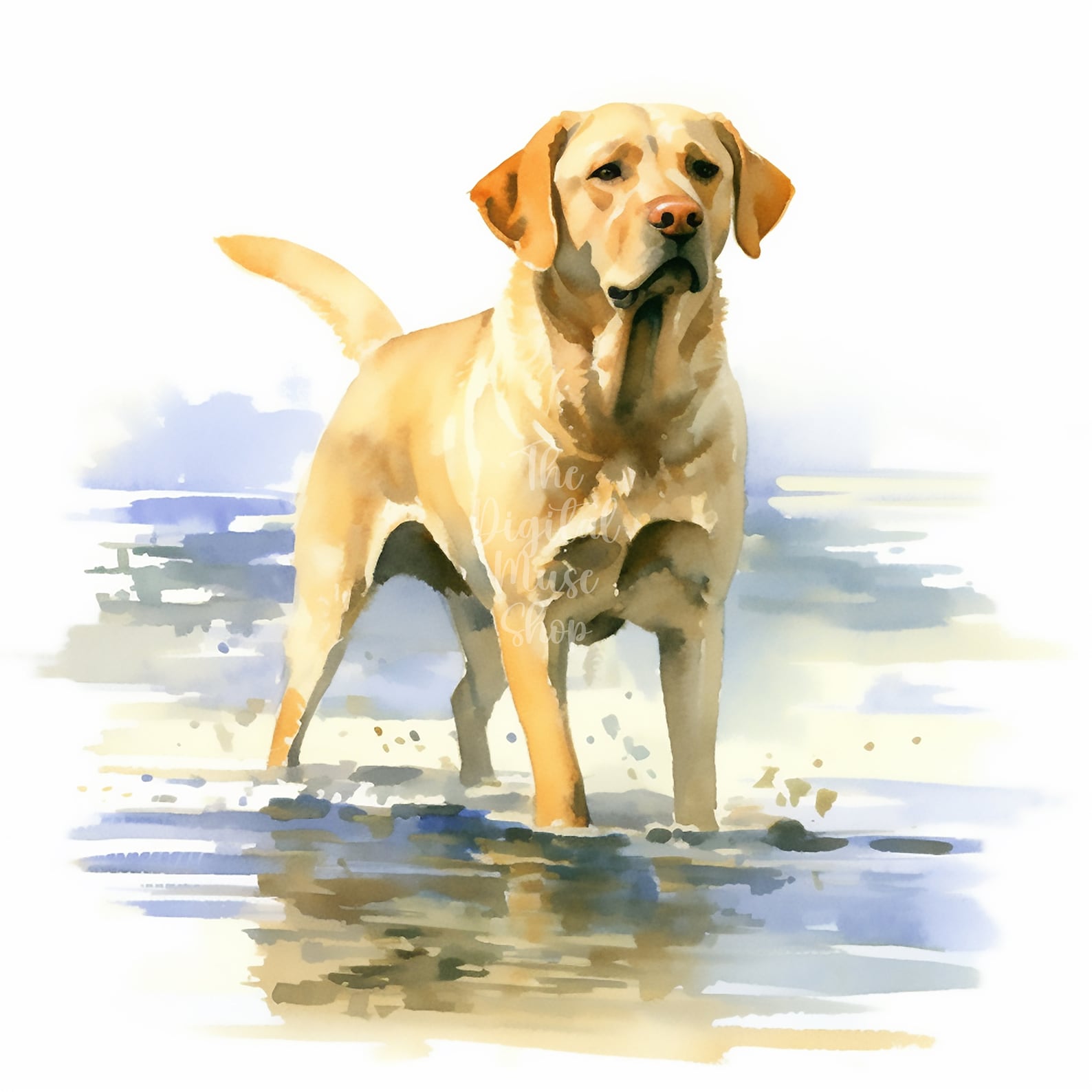 Labrador Retriever Clipart, 10 High Quality Jpgs, Watercolor Clipart ...