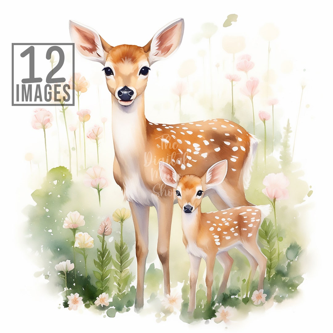 Watercolor Mother and Baby Fawn Clipart, 12 High Quality Jpgs ...