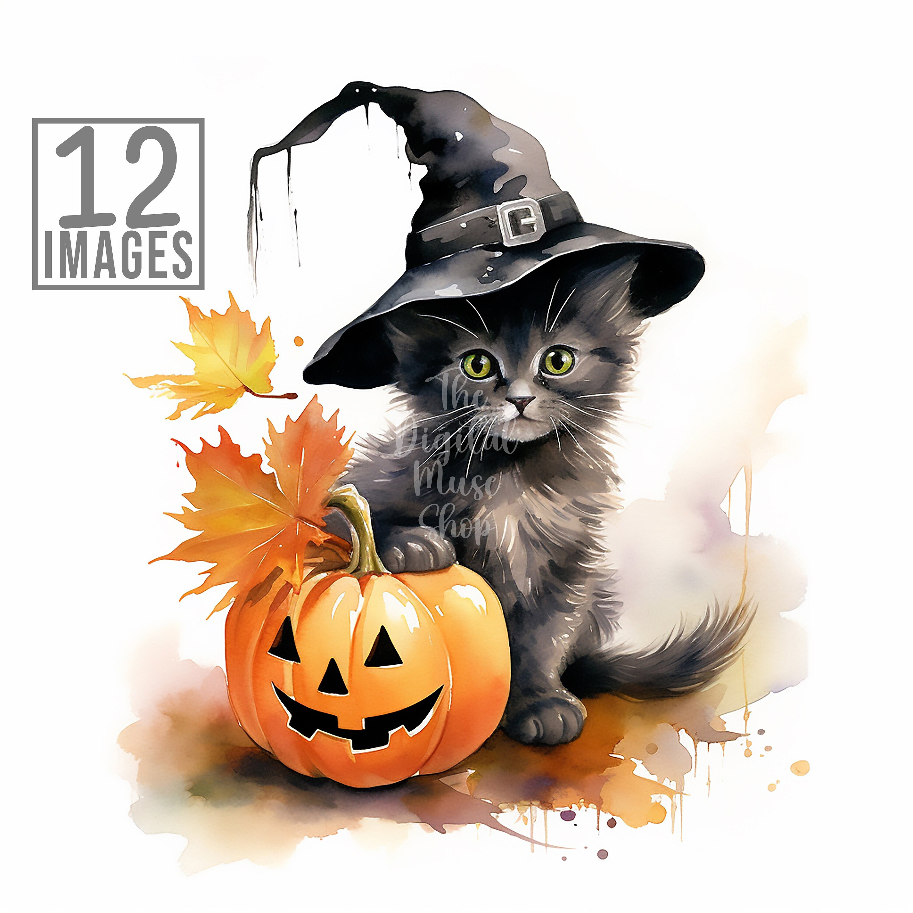 Halloween Witch Cat Clipart 12 High Quality Jpgs Watercolor - Etsy