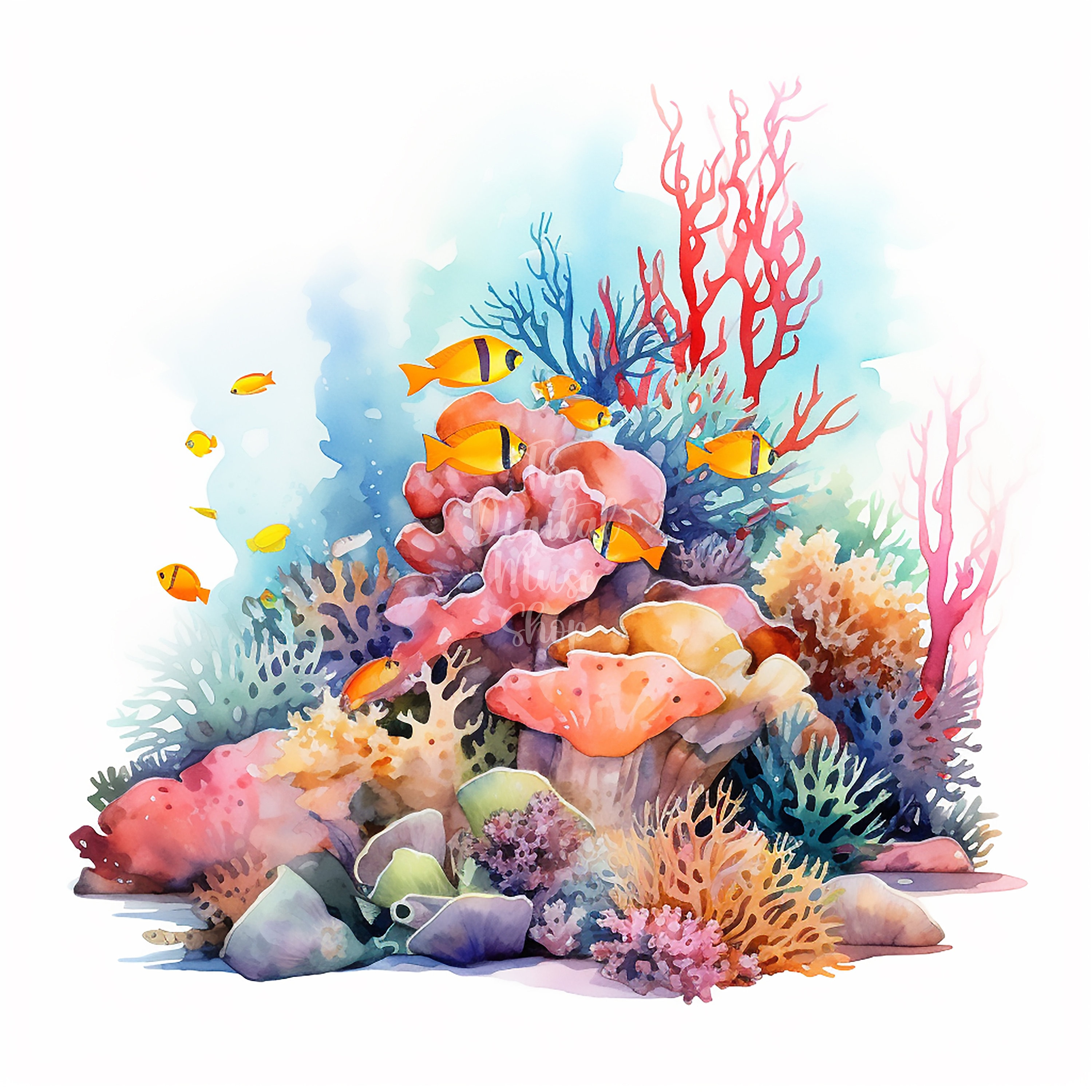 Watercolor Coral Reef Clipart, 12 High Quality Jpgs, Clip Art ...