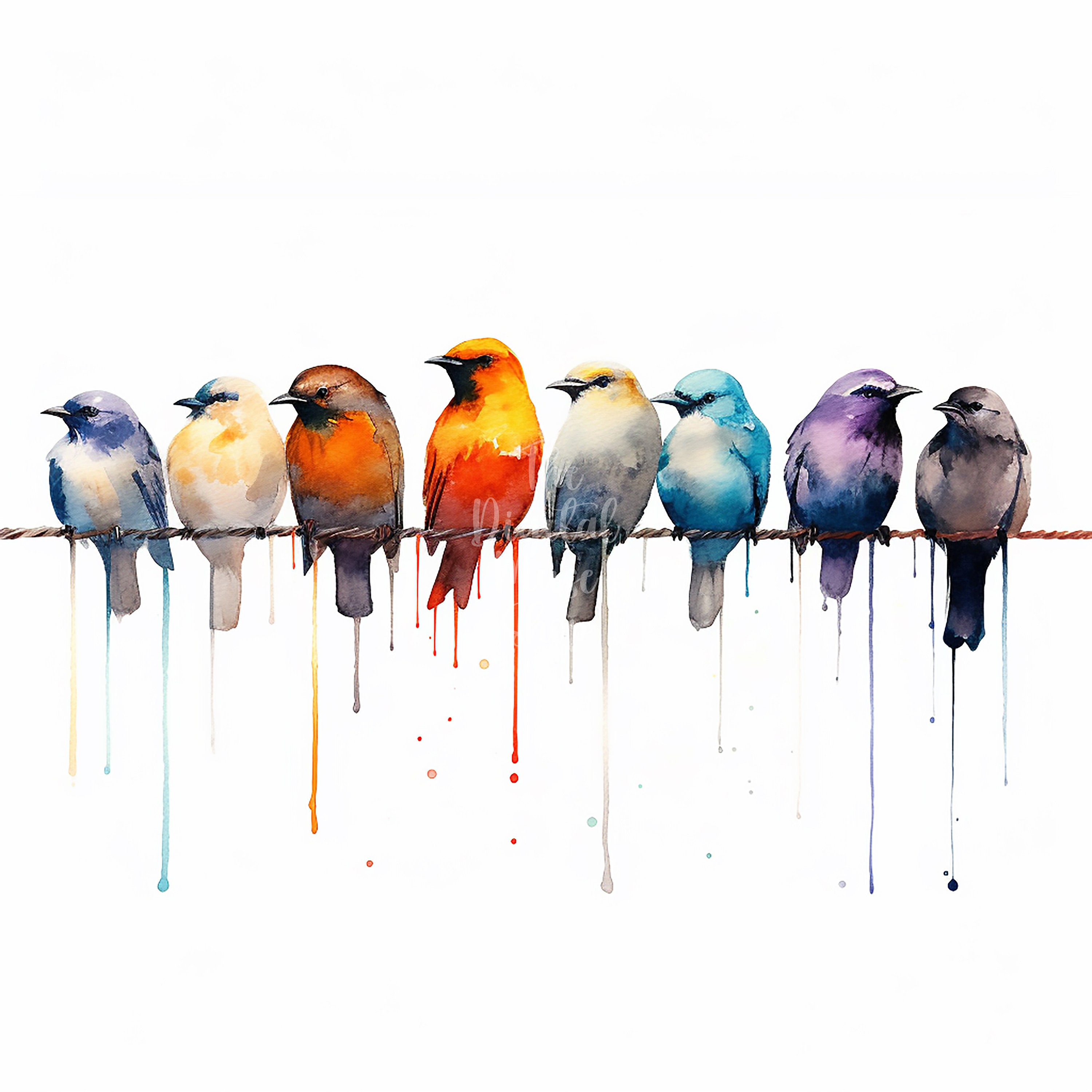 Birds on A Wire Clipart 12 High Quality Jpgs Watercolor - Etsy