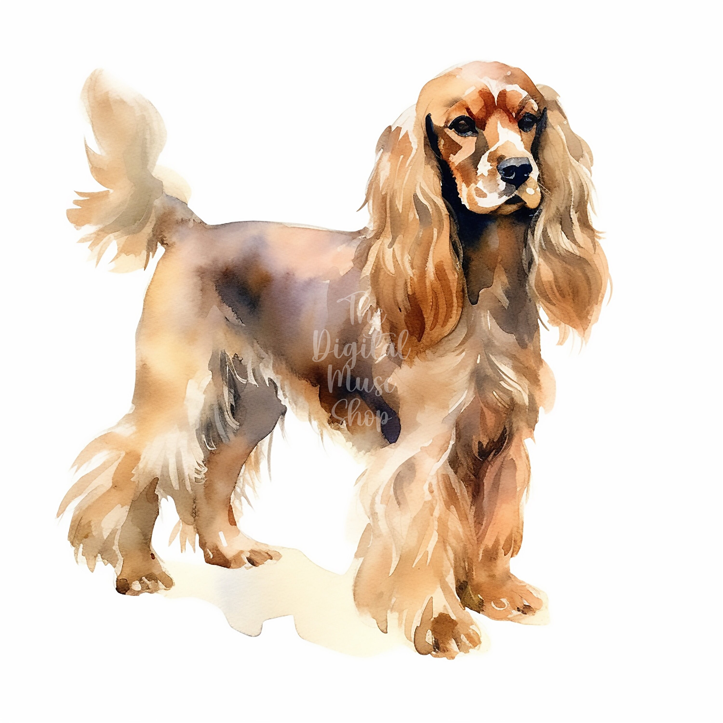 American Cocker Spaniel Clipart, 12 High Quality Jpgs, Watercolor ...