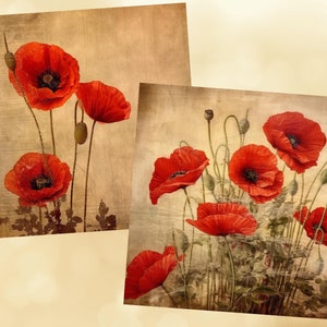Printable Red Poppies Digital Paper, Red Poppy Pages, Vintage ...