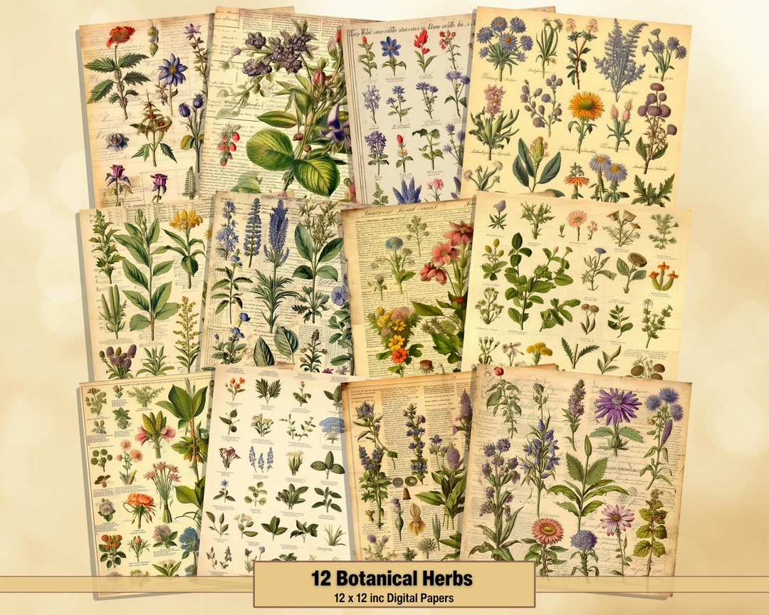 Printable Botanical Herbs Digital Paper, Apothecary Page, Background ...