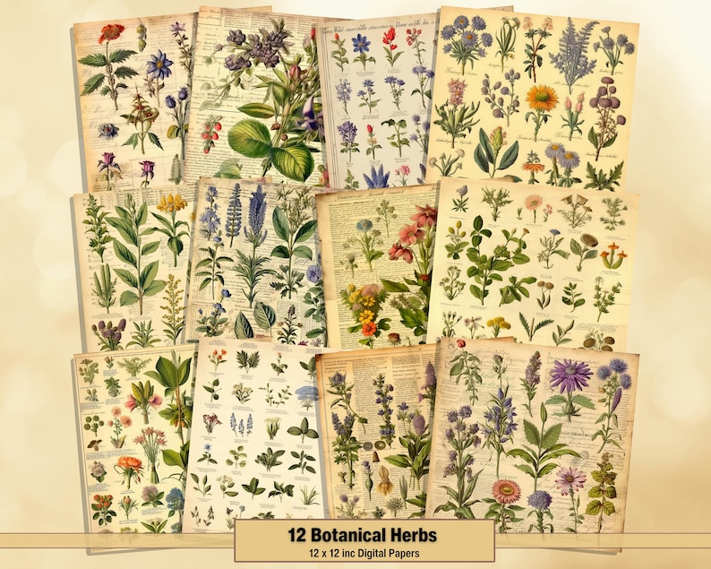Printable Botanical Herbs Digital Paper, Apothecary Page, Background ...