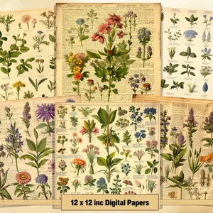 Printable Botanical Herbs Digital Paper, Apothecary Page, Background ...