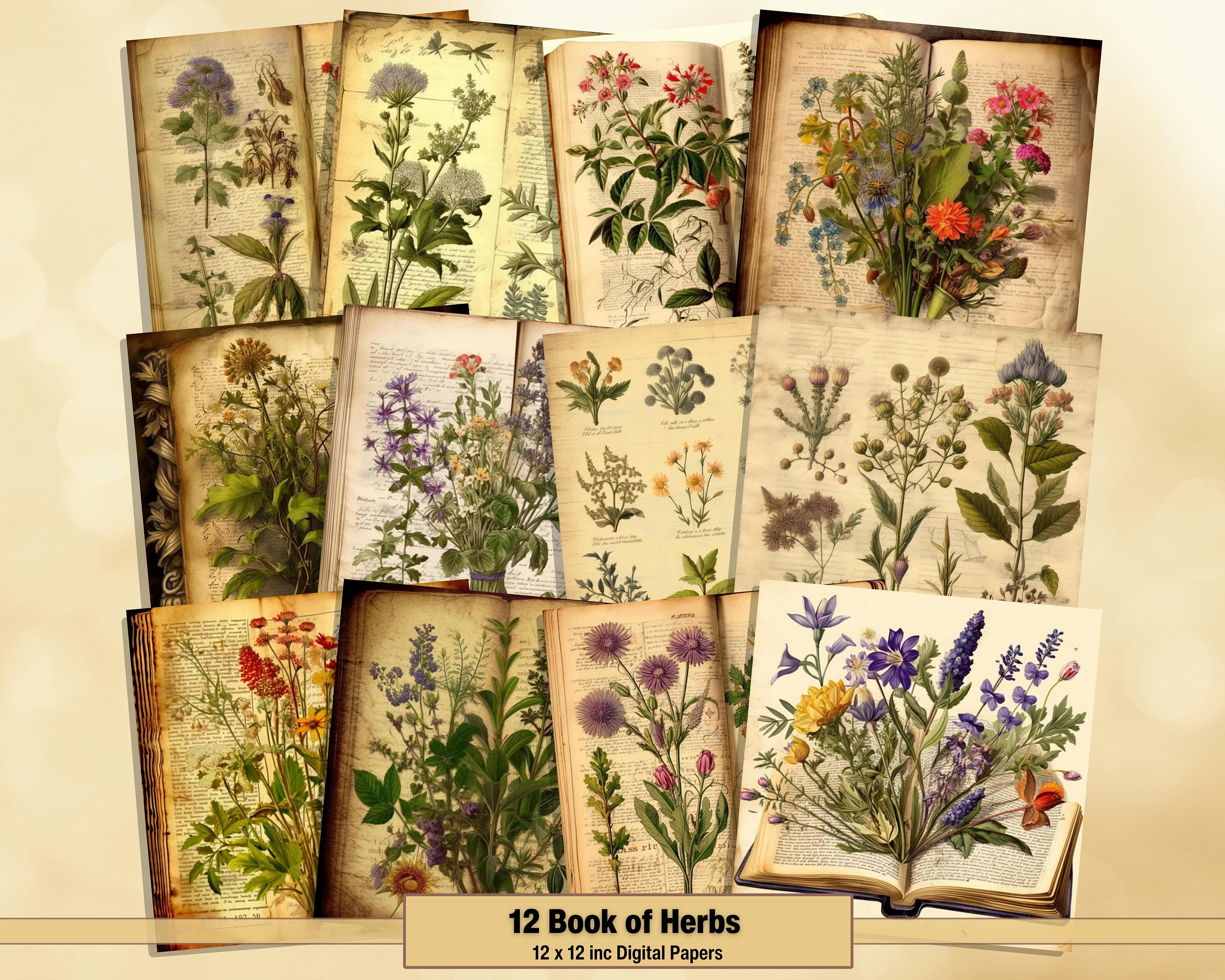 Printable Book of Herbs Digital Paper, Botanical Pages, Plant ...
