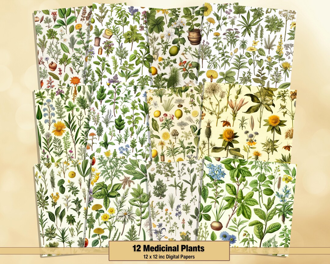 Printable Medicinal Plants Digital Paper, Botanical Pages, Vintage ...