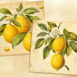 Printable Vintage Lemon Digital Paper, Summer Fruit Pages, Background ...