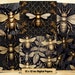 Printable Black and Gold Bee Digital Papers, Honey Bee Pages, Bees ...