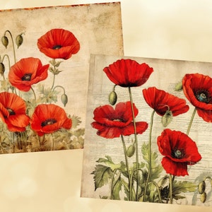Printable Red Poppies Digital Paper, Red Poppy Pages, Vintage ...
