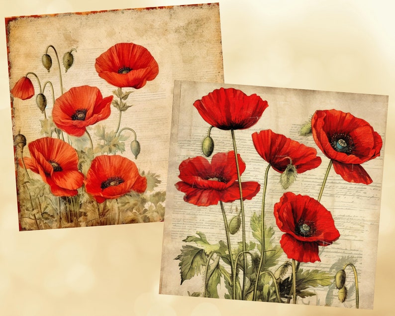 Printable Red Poppies Digital Paper, Red Poppy Pages, Vintage ...