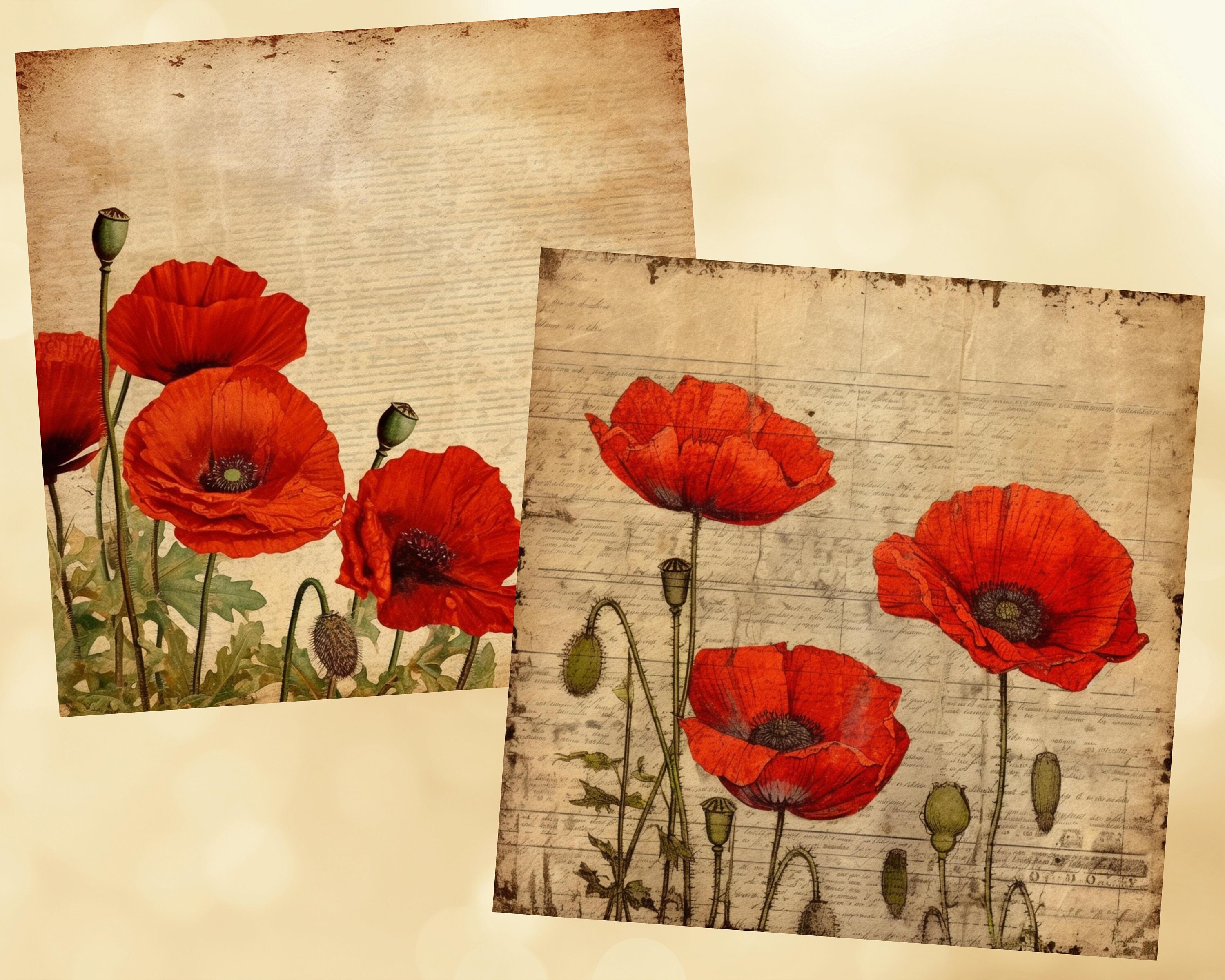 Printable Red Poppies Digital Paper, Red Poppy Pages, Vintage ...