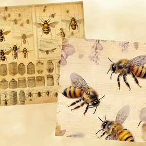 Printable Honey Bee Digital Papers, Queen Bee Pages, Vintage Beehives ...