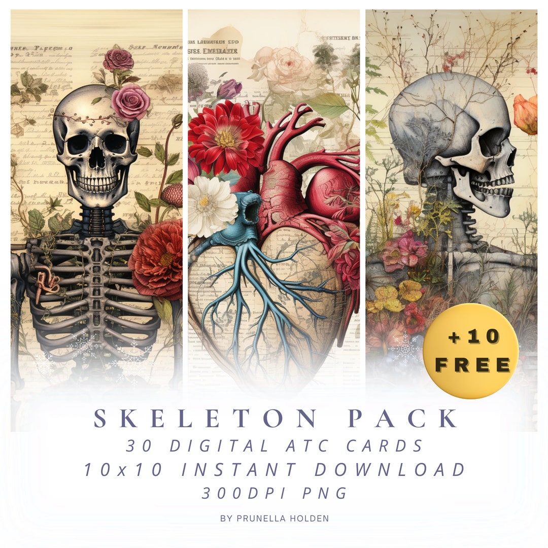 30 Skeleton Themed Vintage Digital Paper Plus 10 Free Skull ...