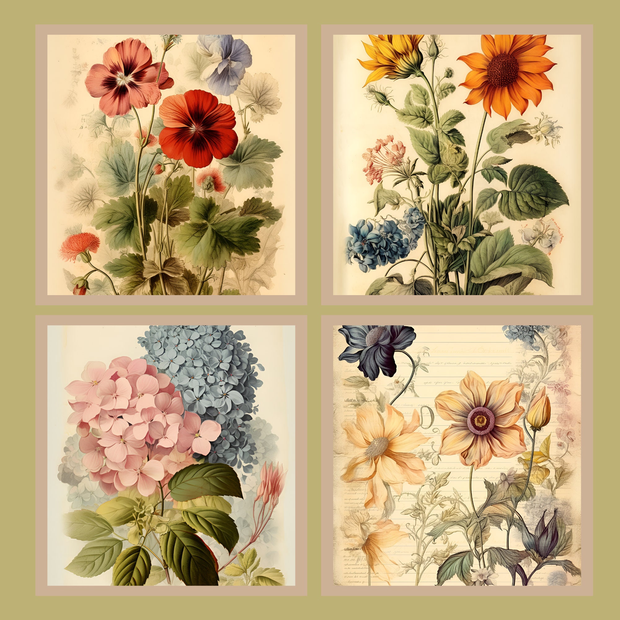 30 Botany Journal Pages Plus 12 Free Vintage Floral Illustrated ...