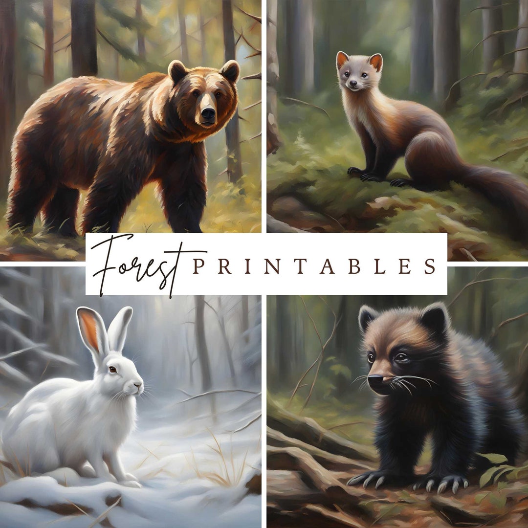 Printable Forest Animal Bundle, 4 JPG Files 1 Bonus, 300 DPI, Bear ...